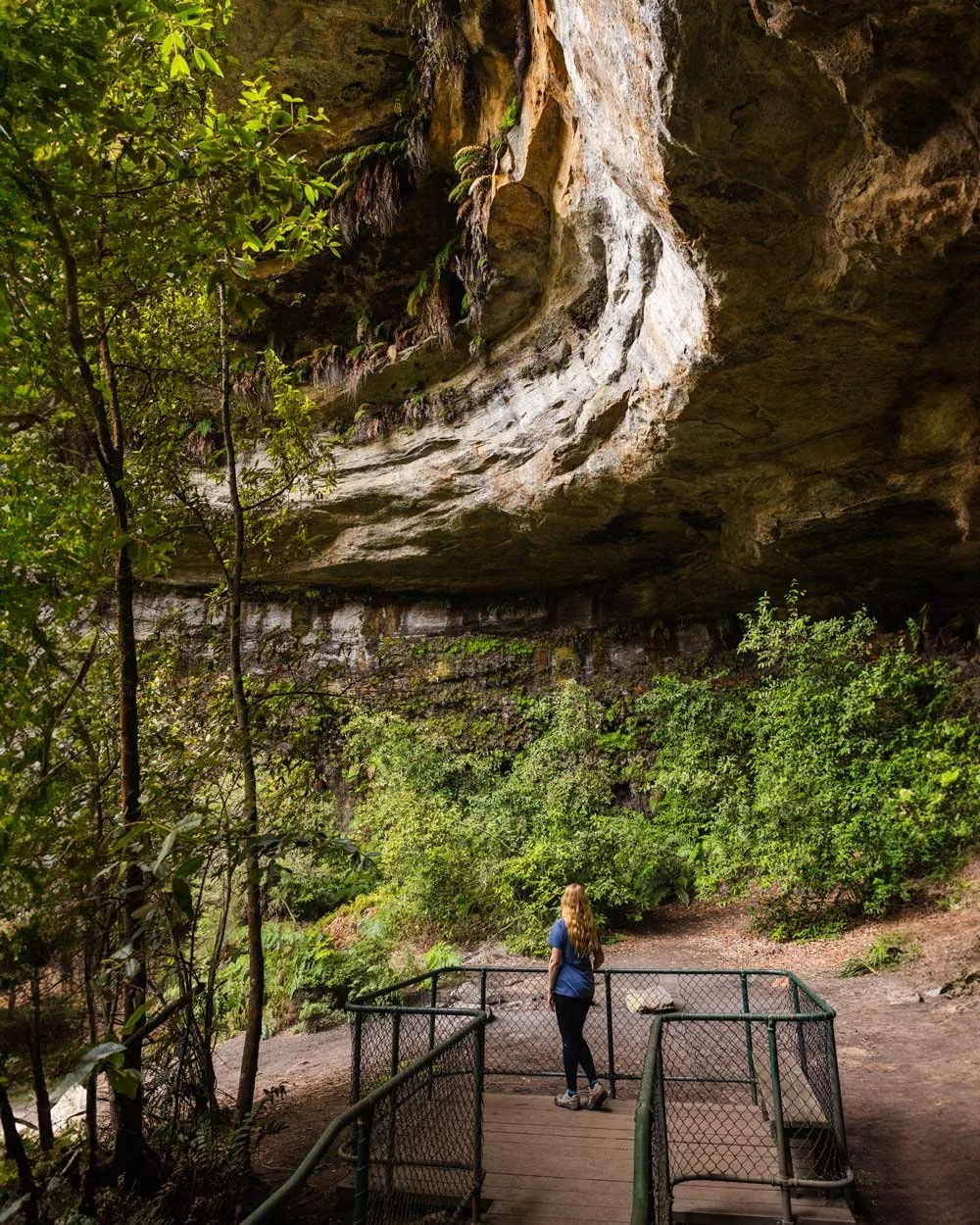 Walls Cave: an easy cave and canyon walk in Blackheath — Walk My World