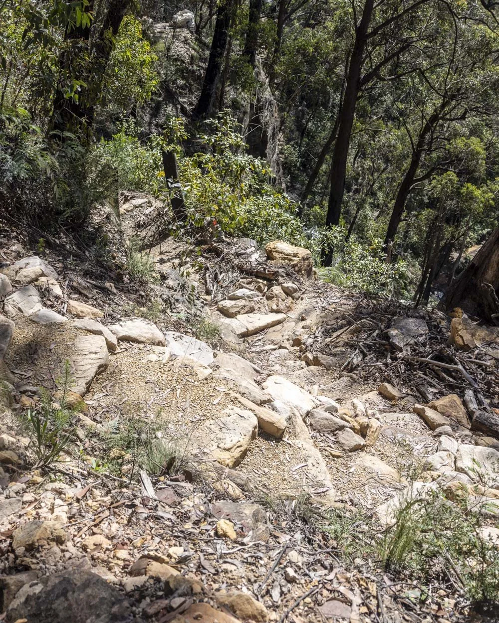 The Horse Track to Junction Rock: wild swimming and stunning blue gums ...
