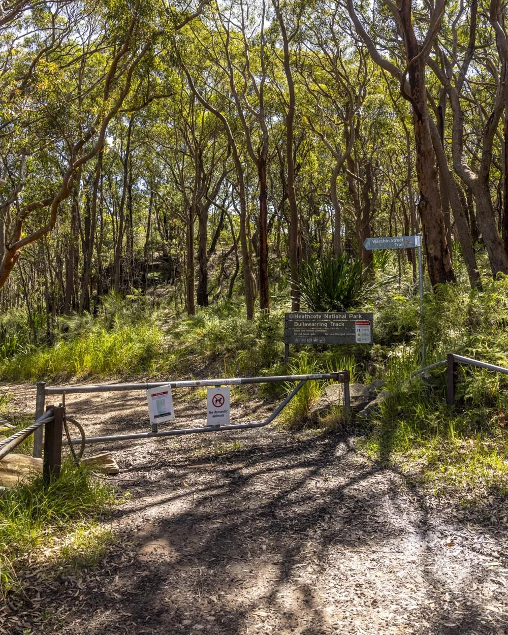 Kingfisher Pool: a pretty swimming hole in Heathcote National Park ...
