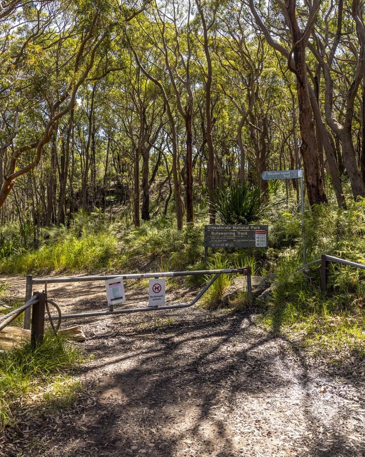 Kingfisher Pool: a pretty swimming hole in Heathcote National Park ...