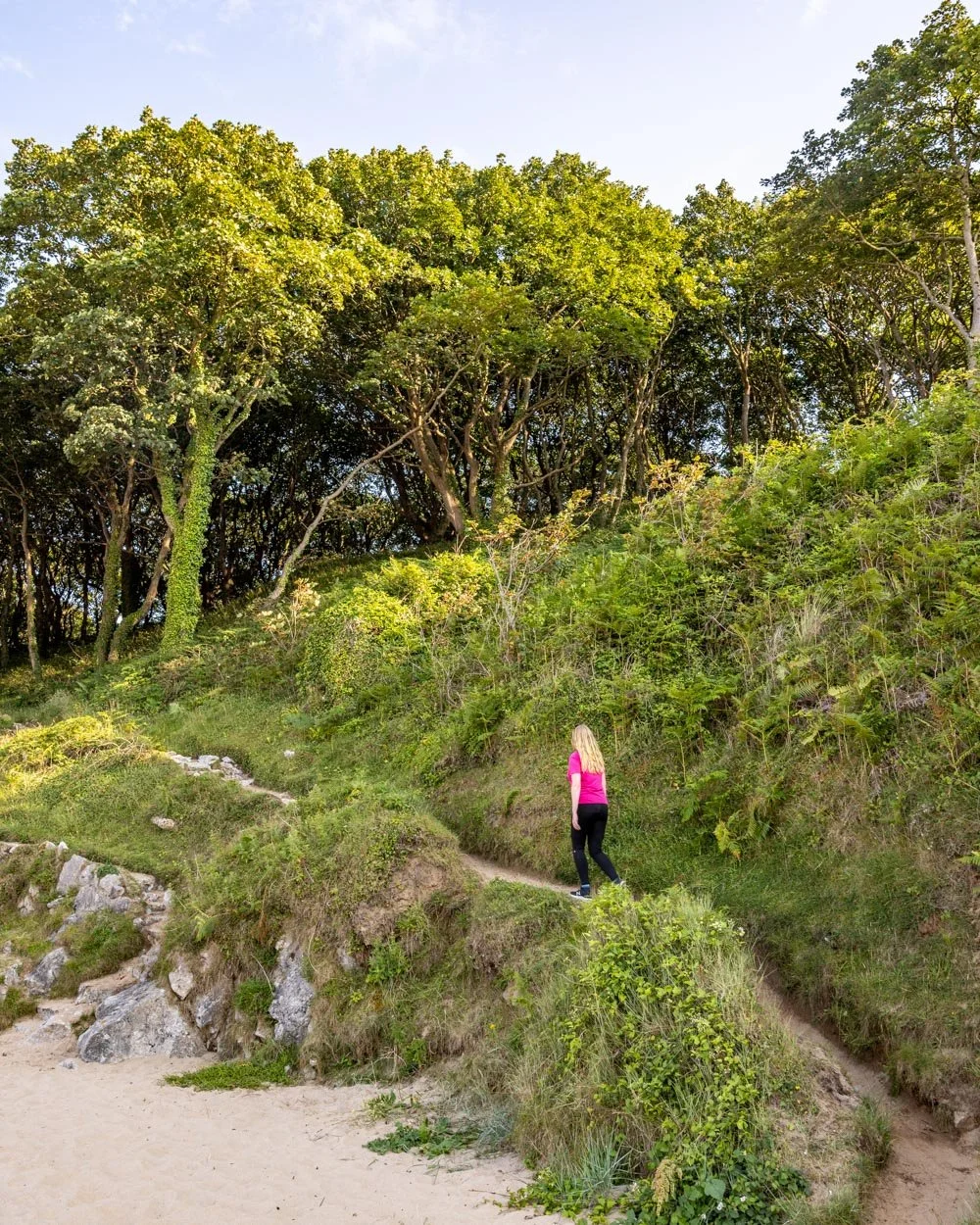 Barafundle Bay Walk: is this the best coastal walk in Wales? — Walk My ...