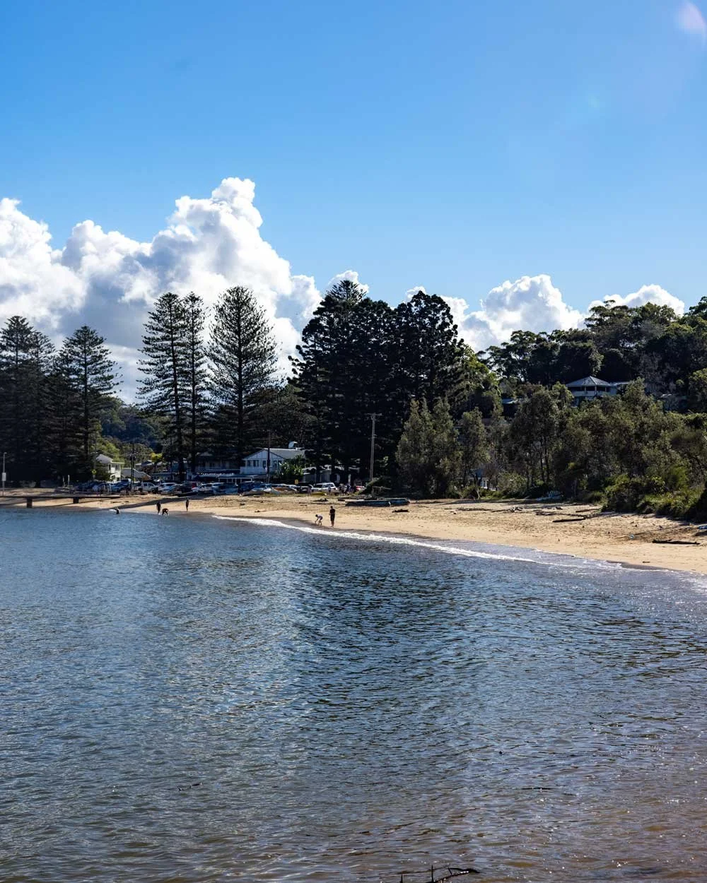 Patonga to Pearl Beach Walk: hidden caves and the secret beach beyond ...