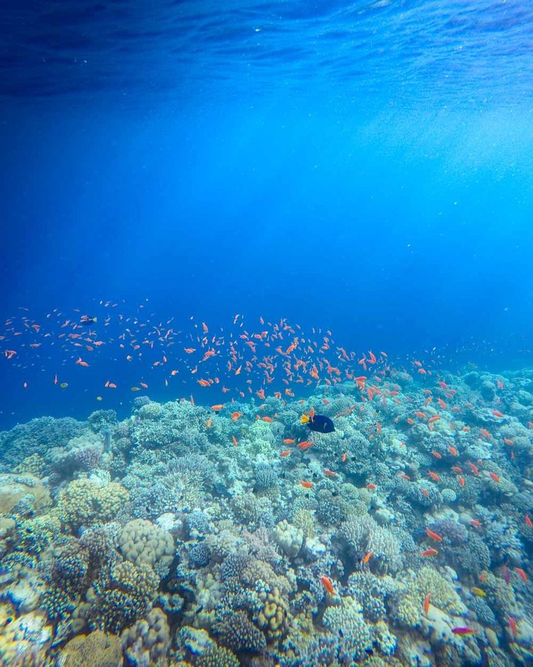 How to visit the Dahab Blue Lagoon without a tour — Walk My World