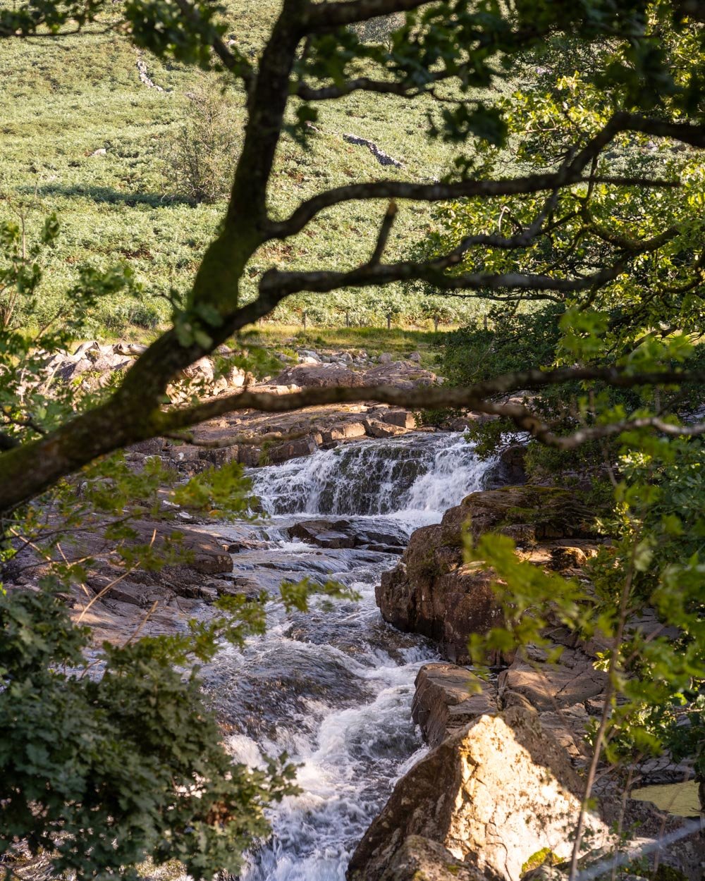 Tray Dub: How to find the secret gorge pool beyond Black Moss Pot ...