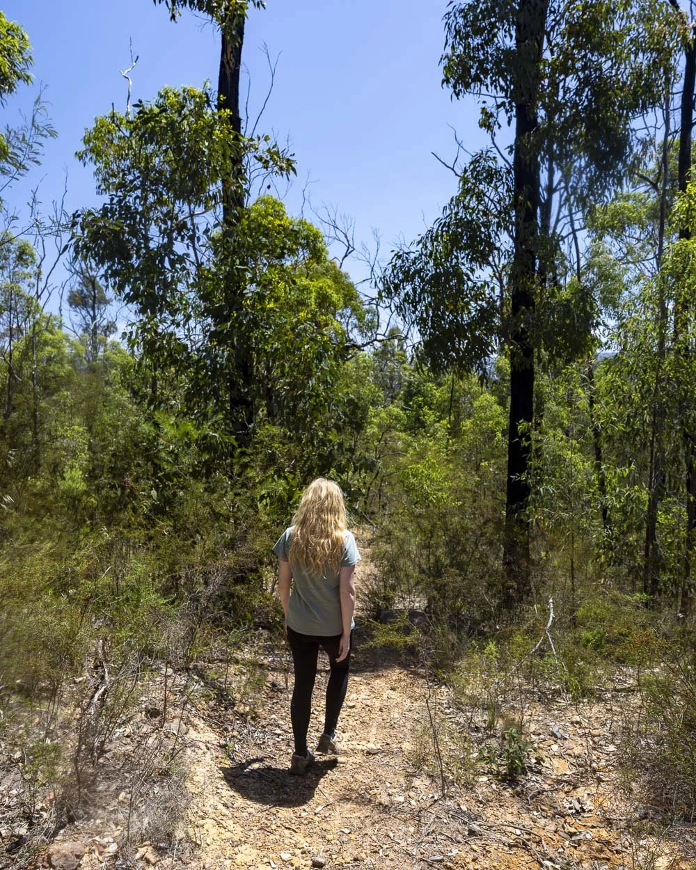 Yalwal Creek: the best hidden swimming spots in Morton National Park ...