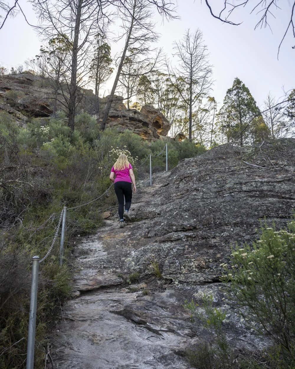 Ganguddy Dunns Swamp Weir Walk: amazing views, wild swimming and a cool ...