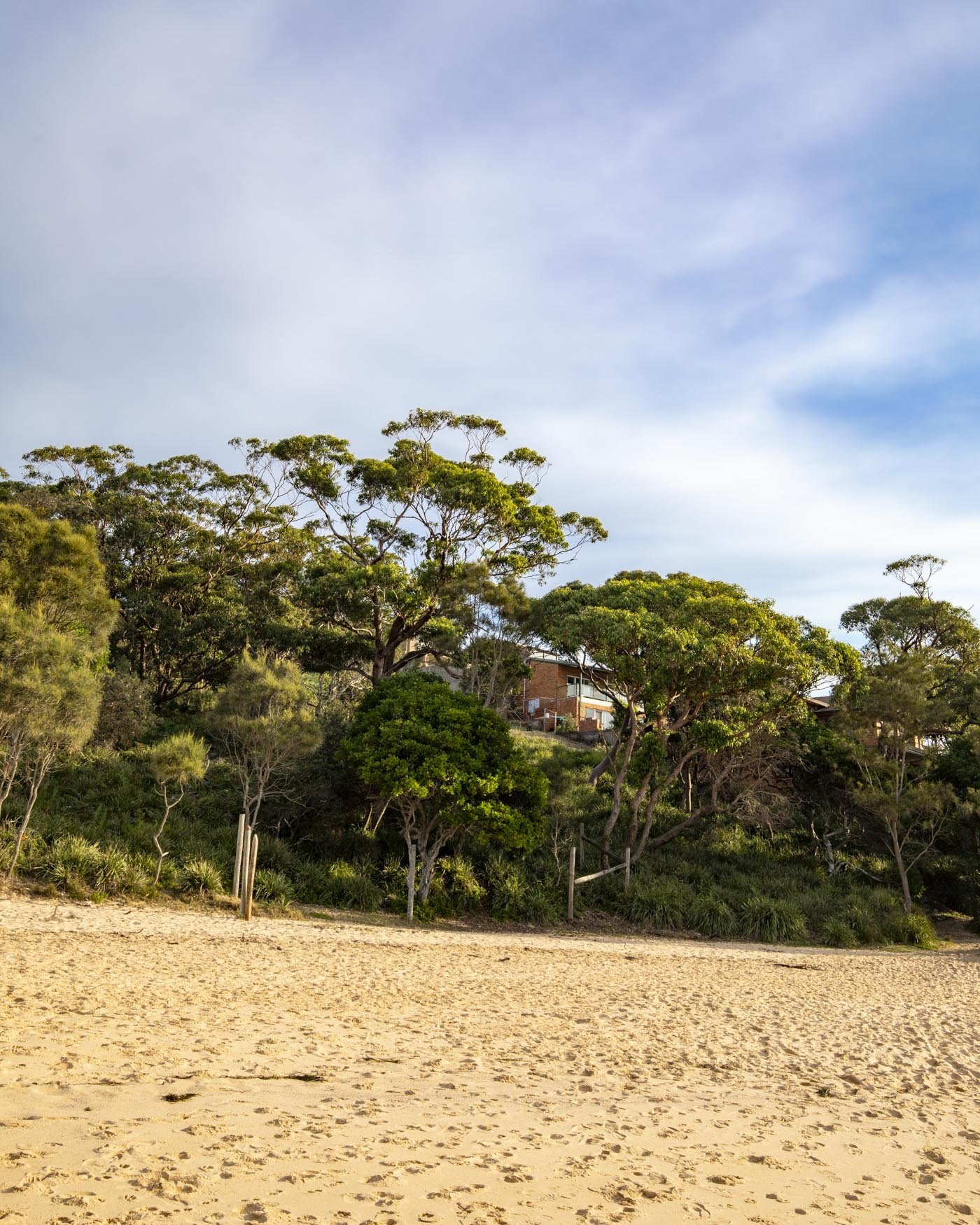 Jibbon Beach Loop Track: an easy but breathtaking walk in Royal ...