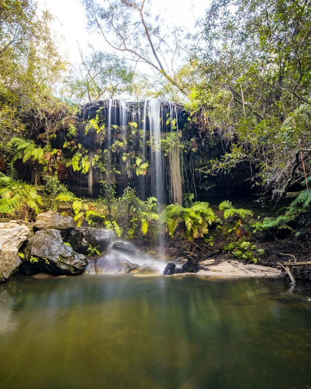 The Transit of Venus: three pretty waterfalls on one trail — Walk My World