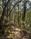 Flint and Steel Beach and beyond: the best wild swimming beaches in Ku ...
