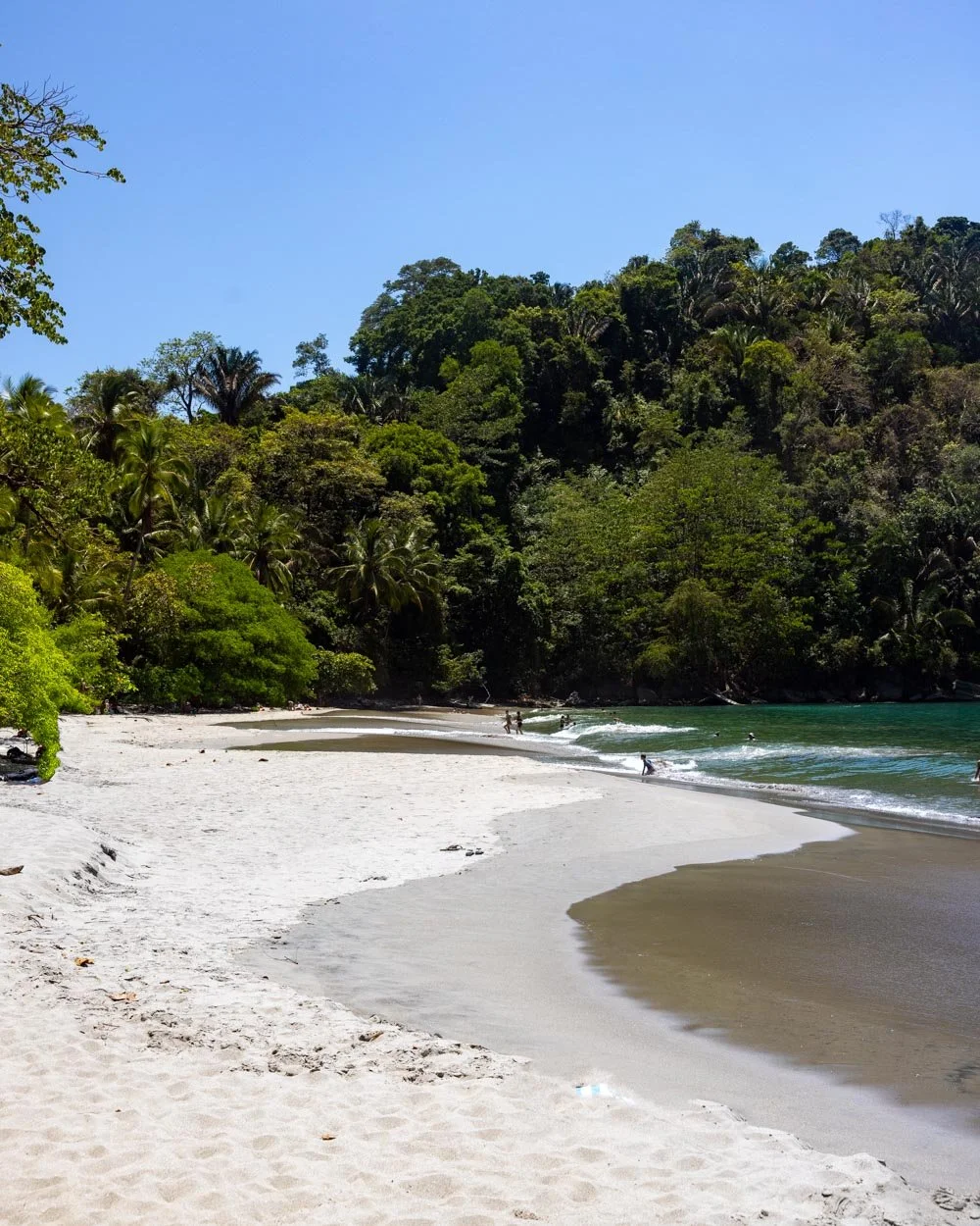 Our top tips for planning a perfect day in Manuel Antonio National Park ...