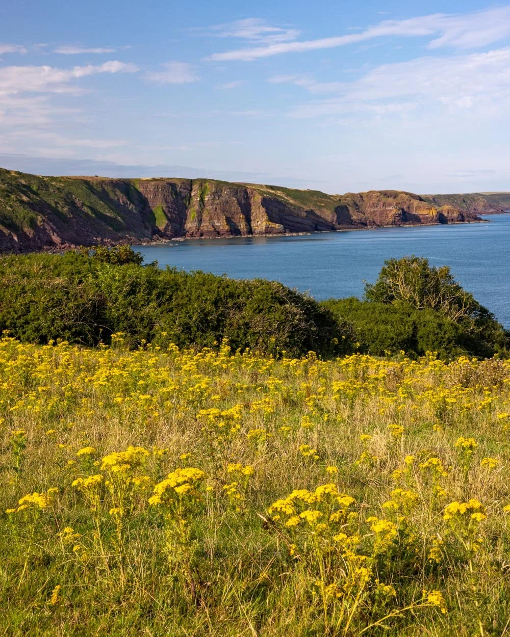 Barafundle Bay Walk: is this the best coastal walk in Wales? — Walk My ...
