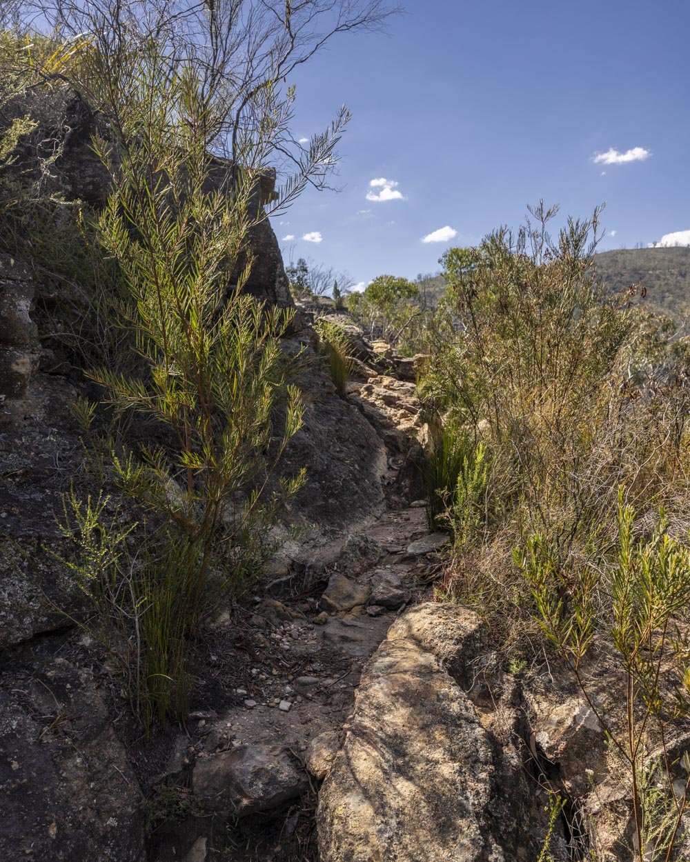 Pagoda Lookout: is this Mudgee's most magical viewpoint? — Walk My World