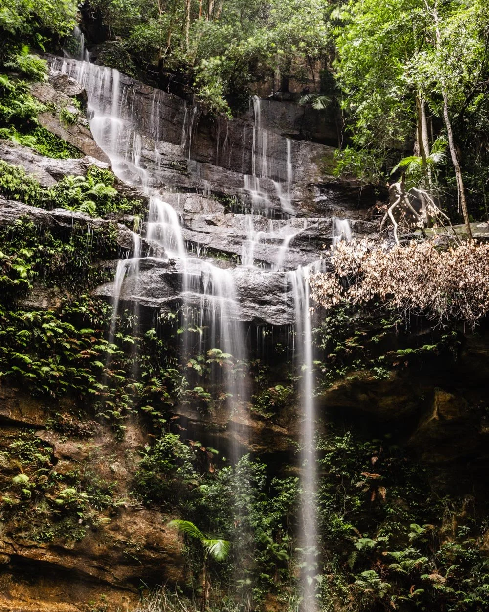 Gap Creek Falls: a spectacular rainforest waterfall on the Central ...