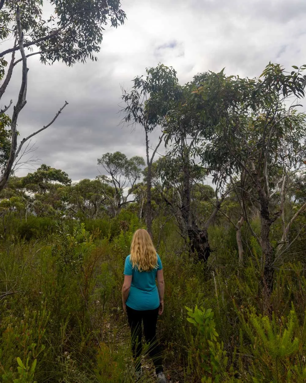 Refuge Bay: an amazing beach waterfall and secret infinity pool — Walk ...