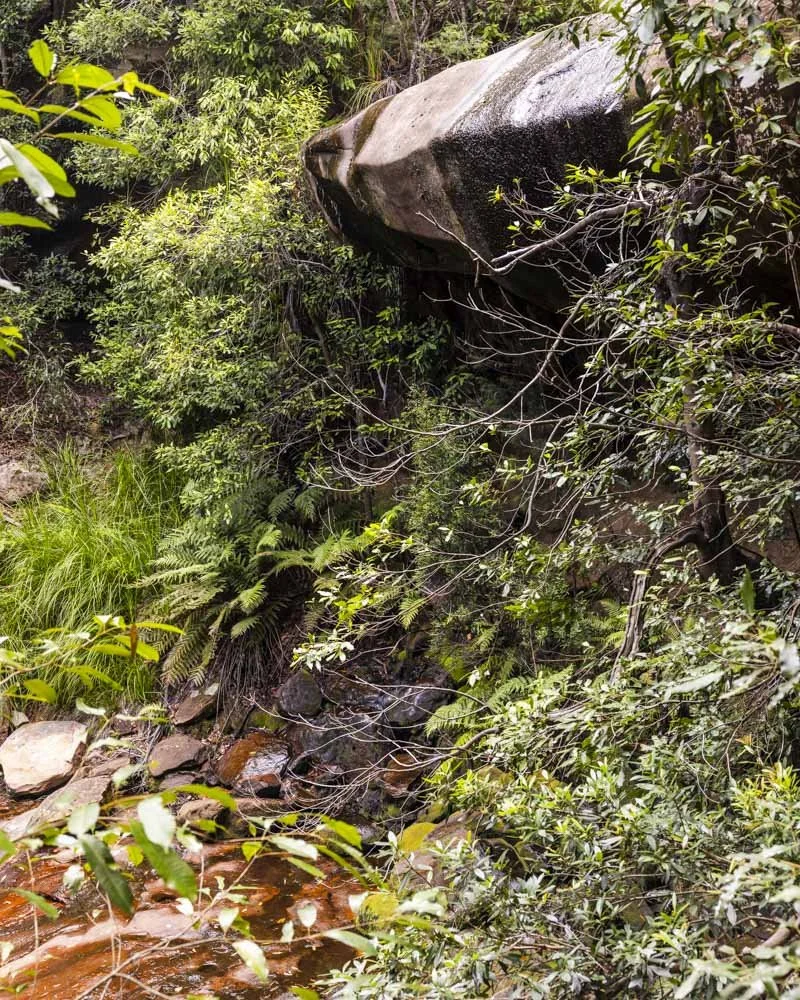 Pearly Ponds: a family friendly swimming hole on the Central Coast ...