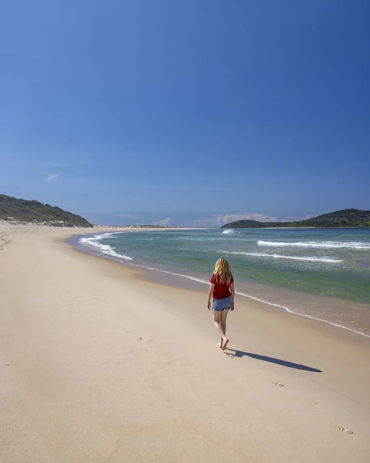 Crossing the spit to Fingal Island: one of Port Stephens best ...