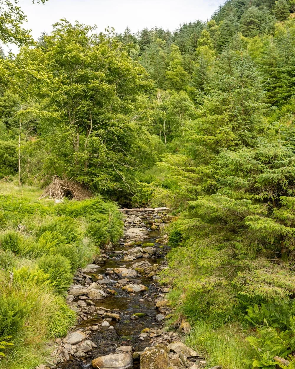 Spout Force: the Lake District's hidden gorge waterfall — Walk My World