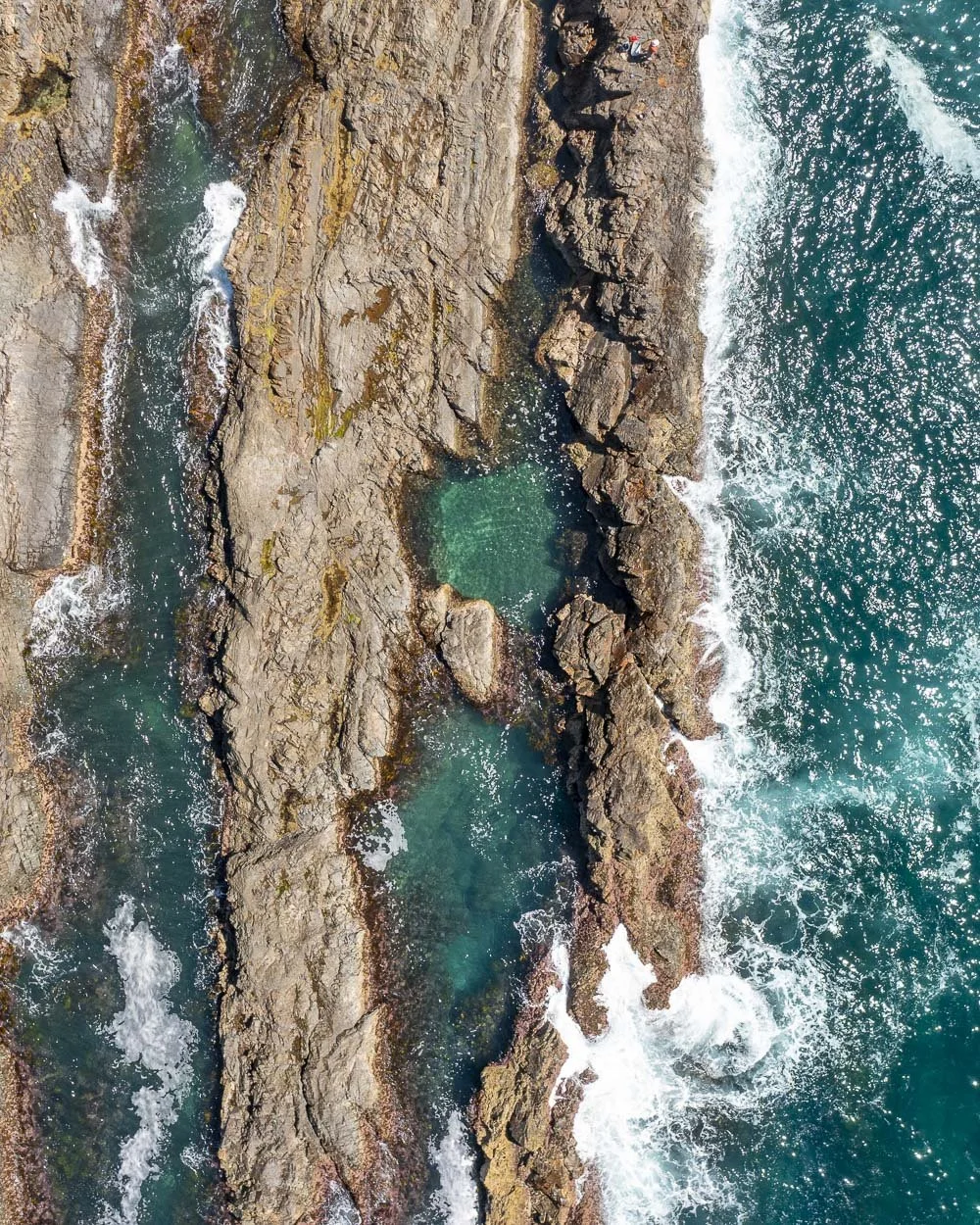 Crystal Pools: hidden rockpool heaven near Forster — Walk My World