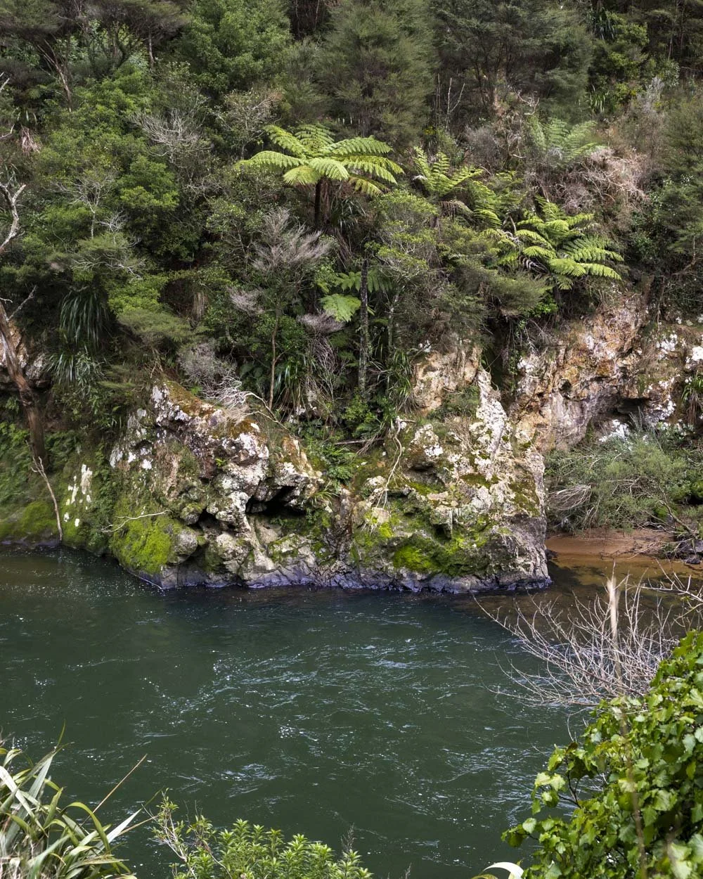 Karangahake Gorge Historic Walkway: the best bits and what to skip ...