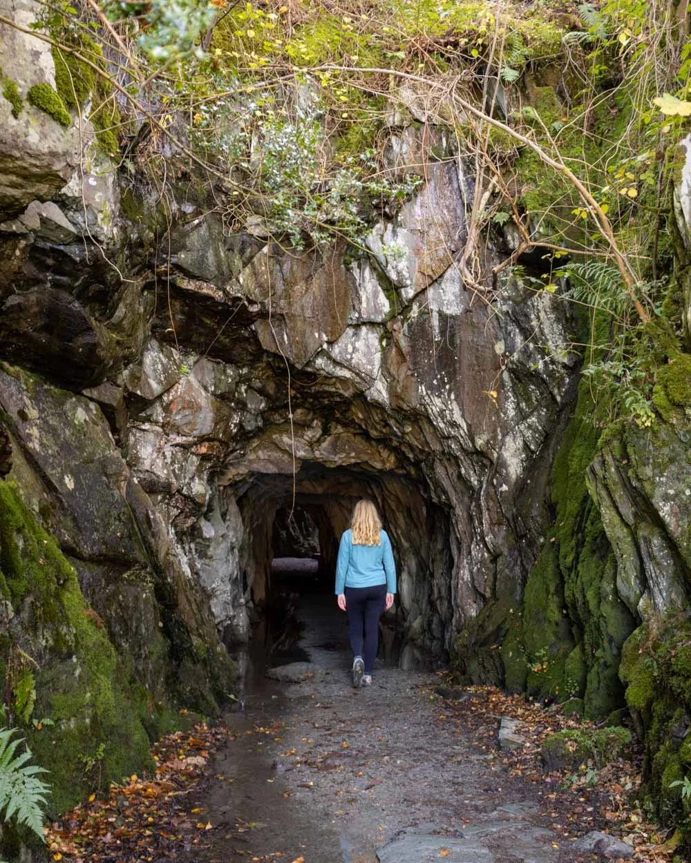 Cathedral Cave: the short route, just a 15 minute walk — Walk My World