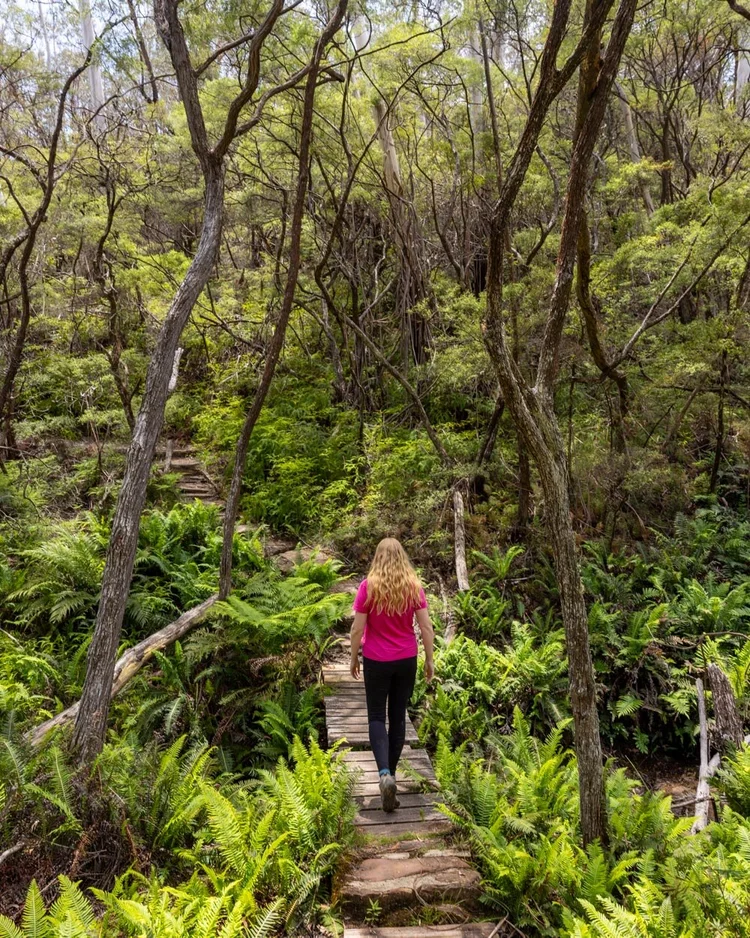 The Devils Hole: Katoomba's Lost World — Walk My World