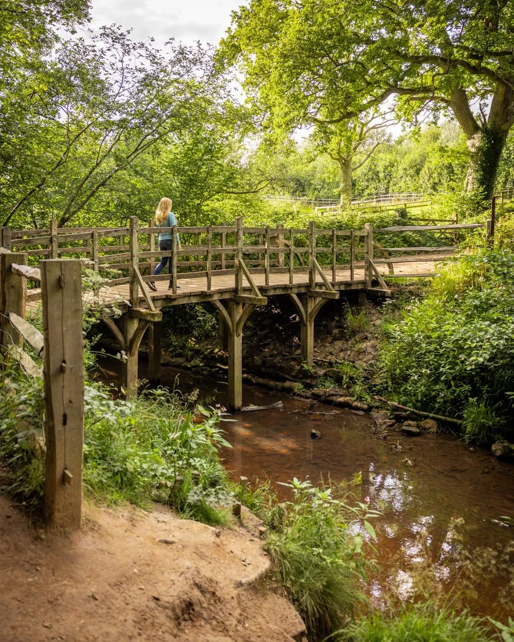 Winnie the Pooh Trail: a fun treasure hunt and Poohsticks Bridge — Walk ...
