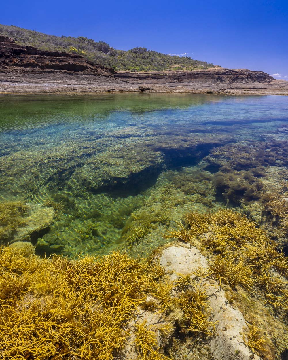 How to find the Catherine Hill Bay Rockpool: the best on the Central ...
