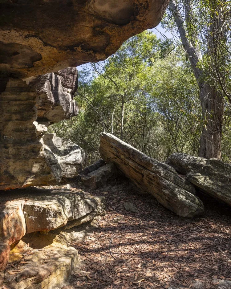 Kingfisher Pool: a pretty swimming hole in Heathcote National Park ...