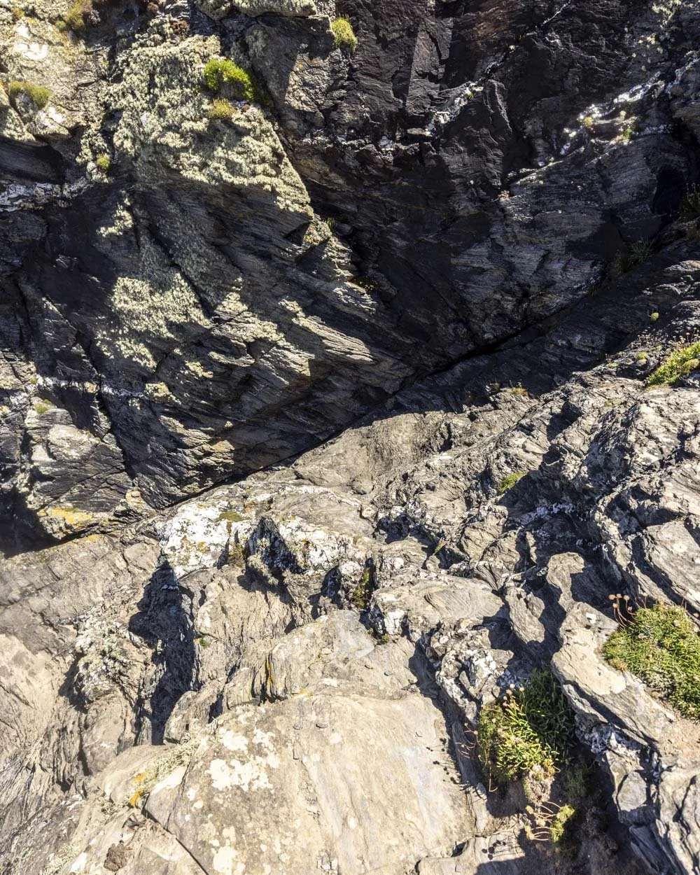 Godrevy Rockpool: a slice of the Mediterranean in Cornwall — Walk My World