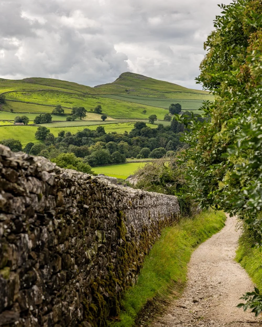 Catrigg Force: wild swimming at a captivating gorge waterfall in the ...