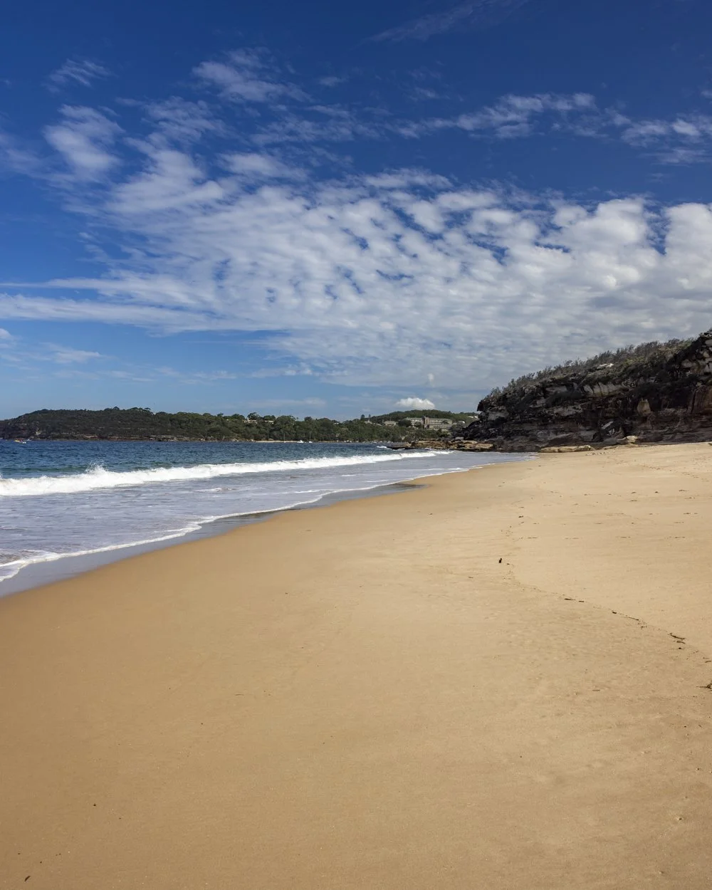 The 15 Most Spectacular Beaches in Sydney including local secrets ...