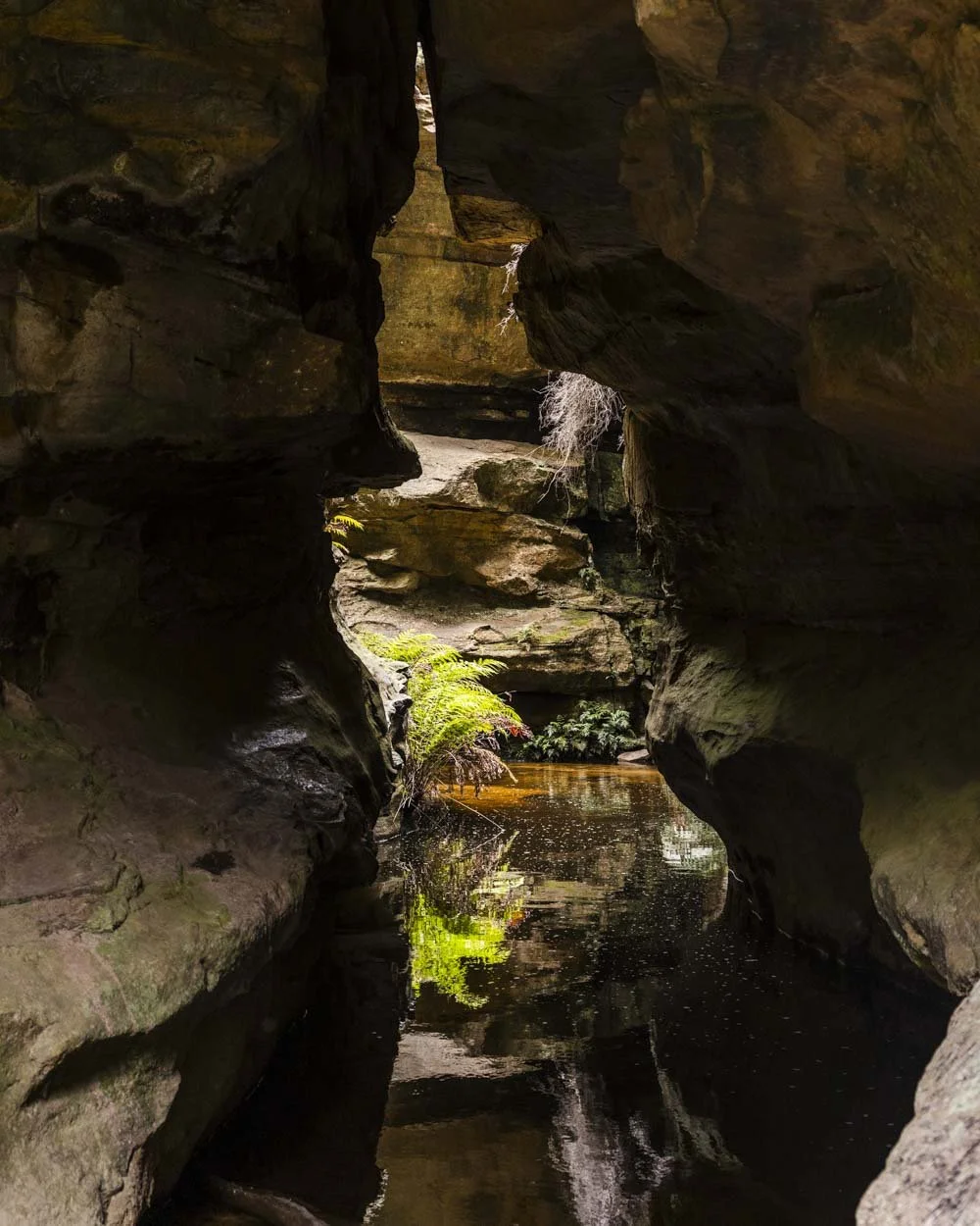 Walls Cave: an easy cave and canyon walk in Blackheath — Walk My World