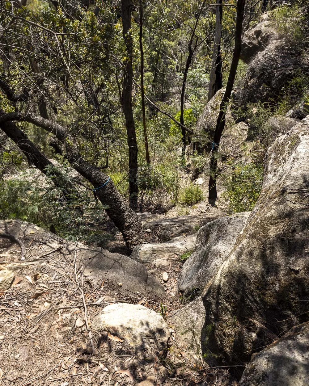 Yerrinbool Falls: a beautiful secluded waterfall in the Southern ...