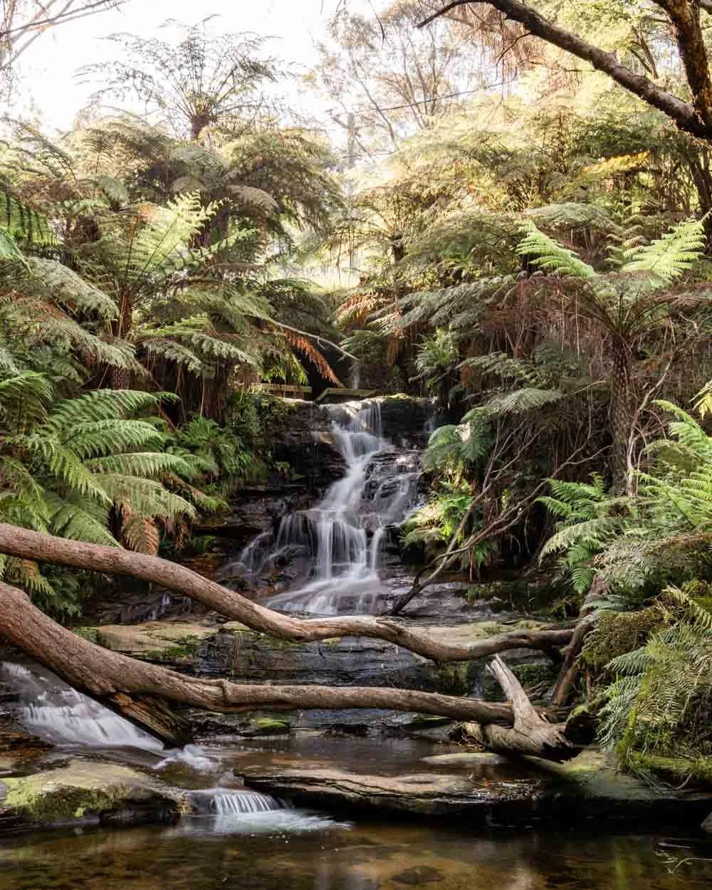 Leura Cascades and the stunning waterfalls beyond — Walk My World