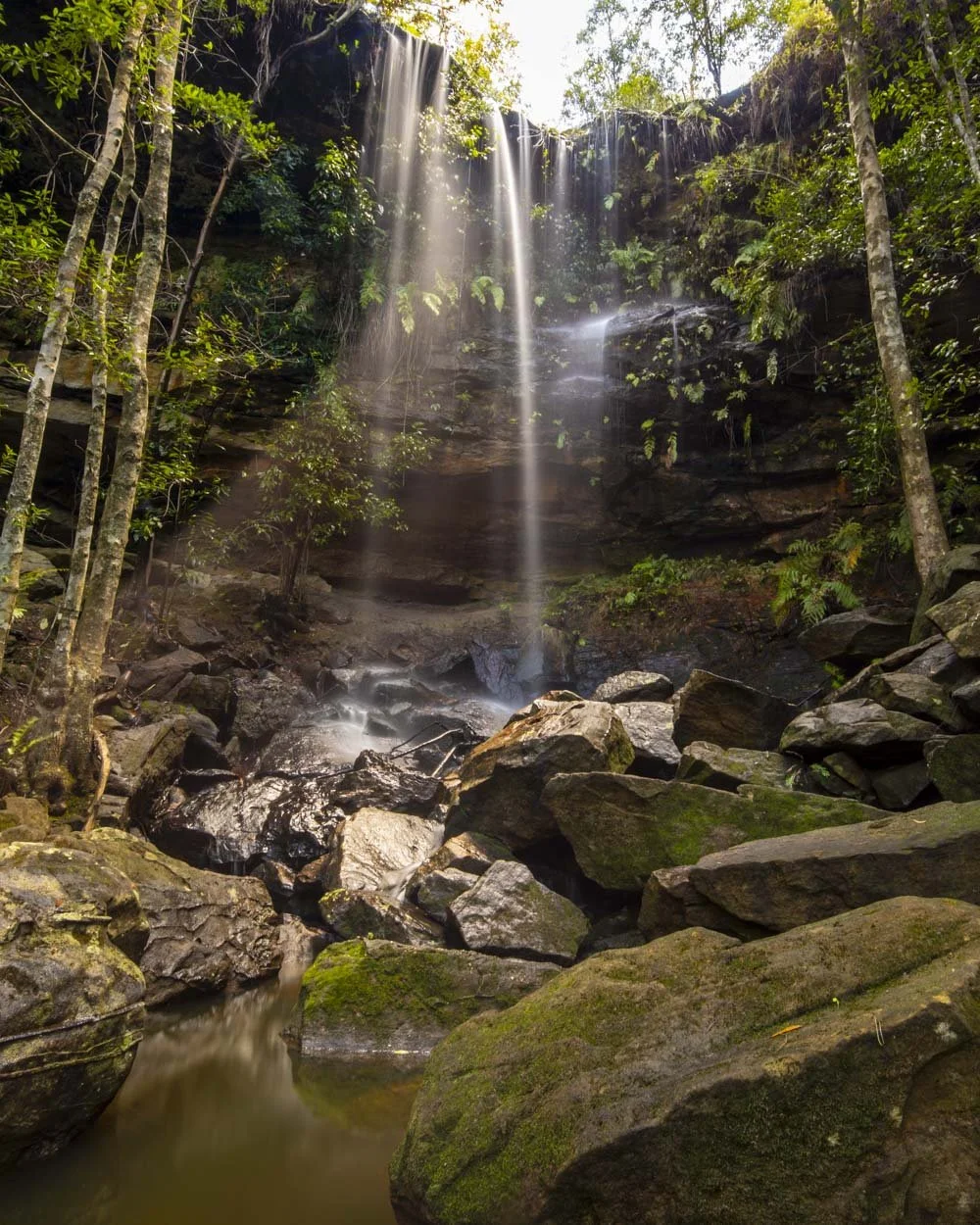 The Transit of Venus: three pretty waterfalls on one trail — Walk My World