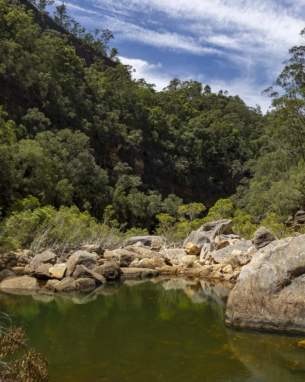Glenbrook Gorge - a stunning secluded swimming spot in the Blue ...