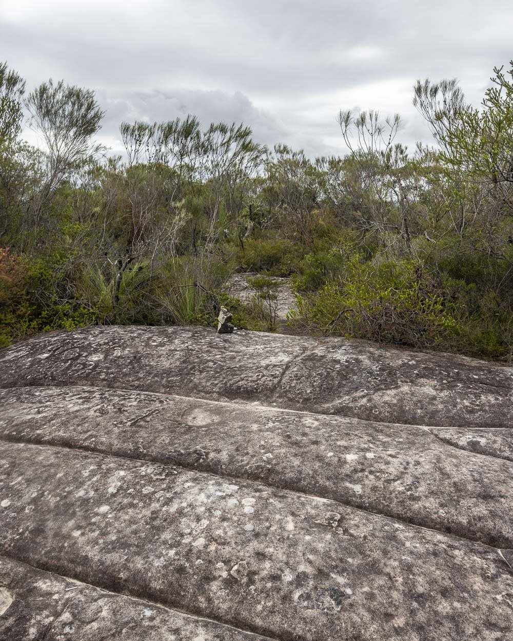 Pindar Cave: is the the Central Coast's best wild camping spot? — Walk ...