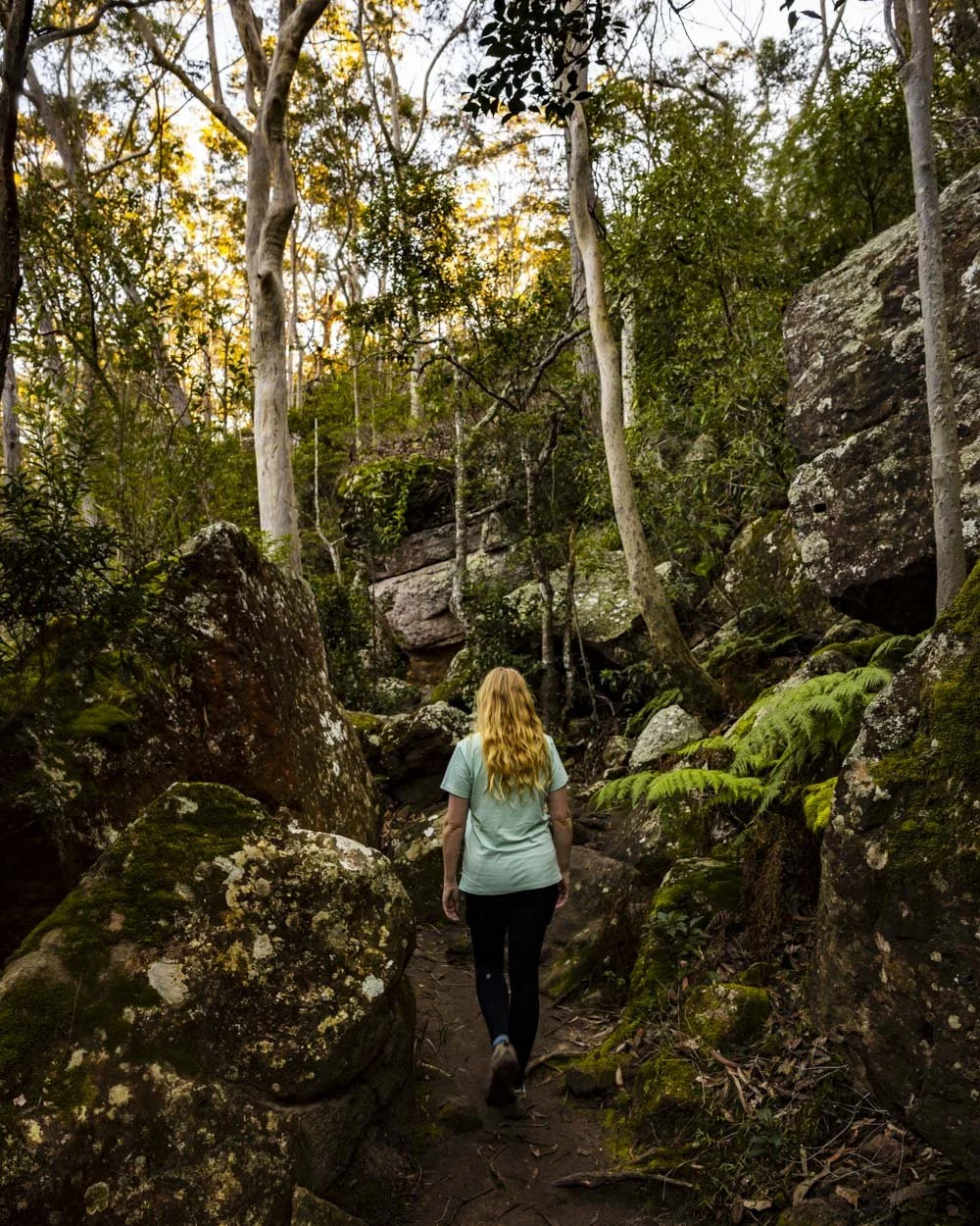 Bens Walk Nowra: caves, a suspension bridge and a hidden Aboriginal art ...