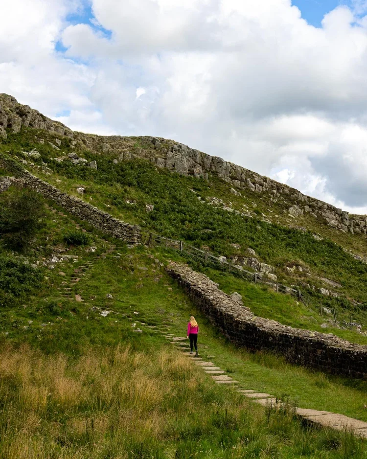 Sycamore Gap: Things to know before visiting & the shortest walk to get ...