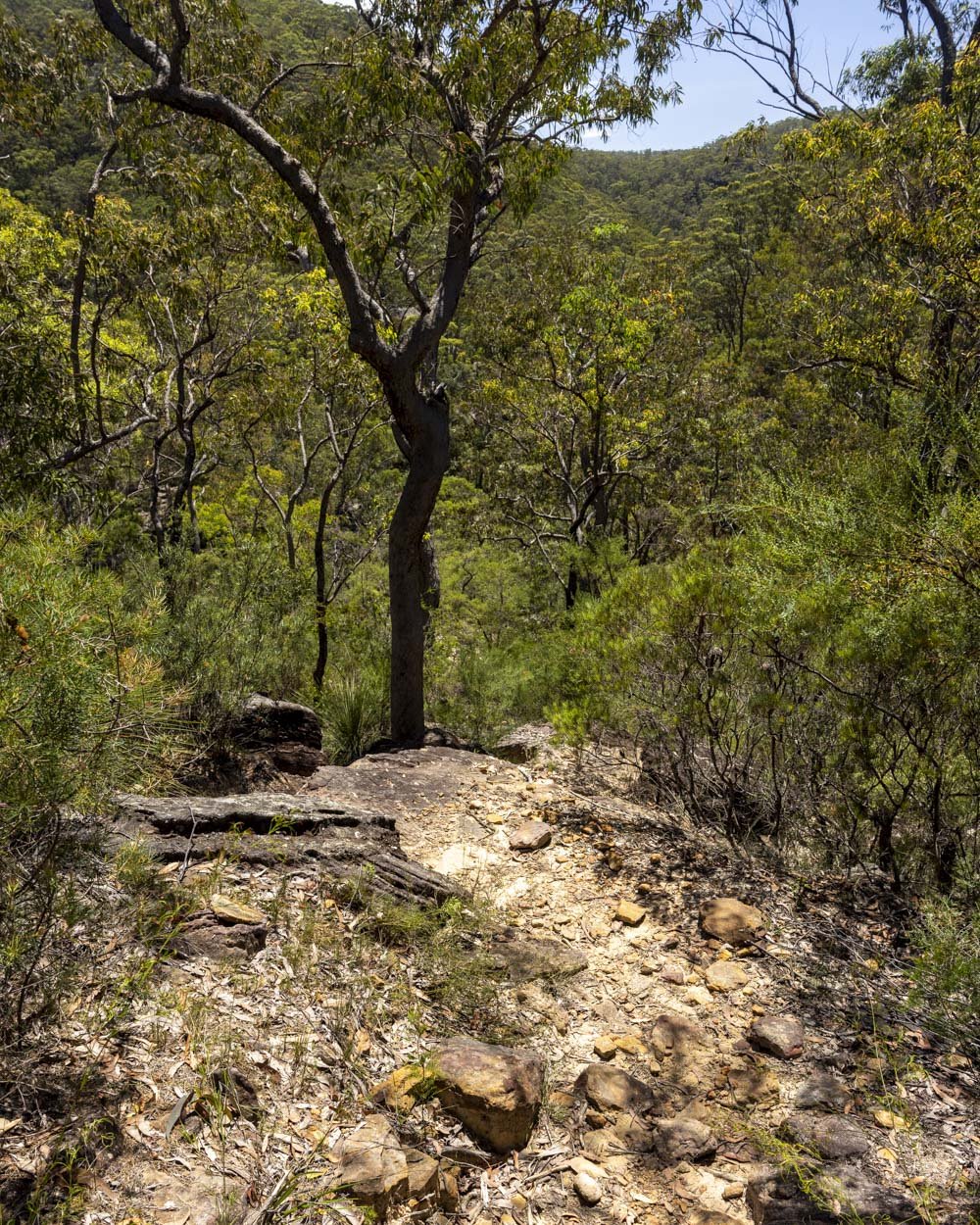 The Duck Hole: an easy Blue Mountains beach day — Walk My World