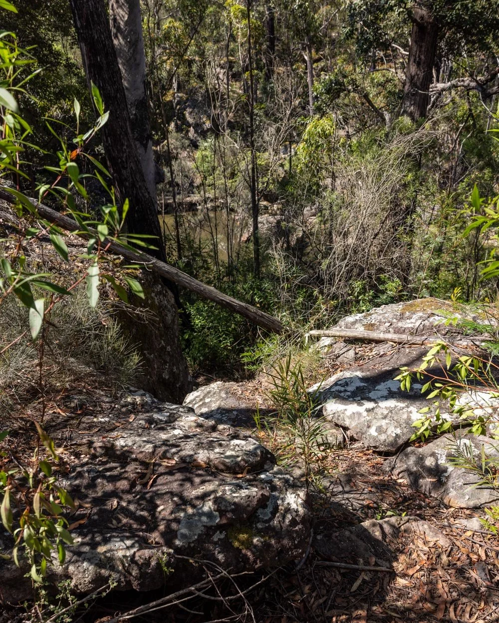 Hell Hole Falls: a spectacular waterfall swimming hole near Jervis Bay ...