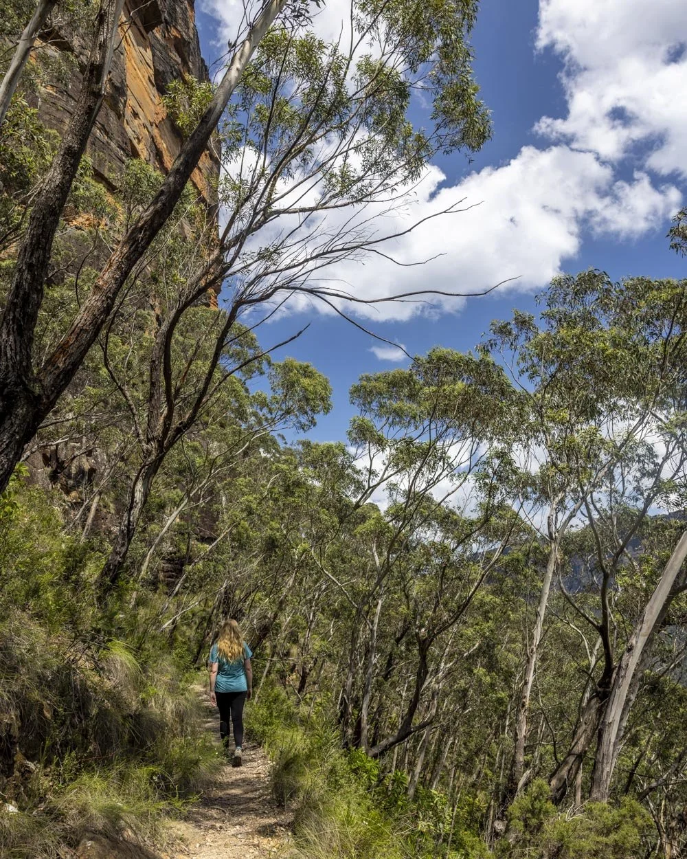The magical swimming holes of Pierces Pass — Walk My World