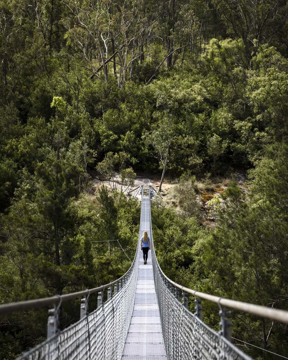 Bowtells Swing Bridge: a fun suspension bridge and secluded swimming ...