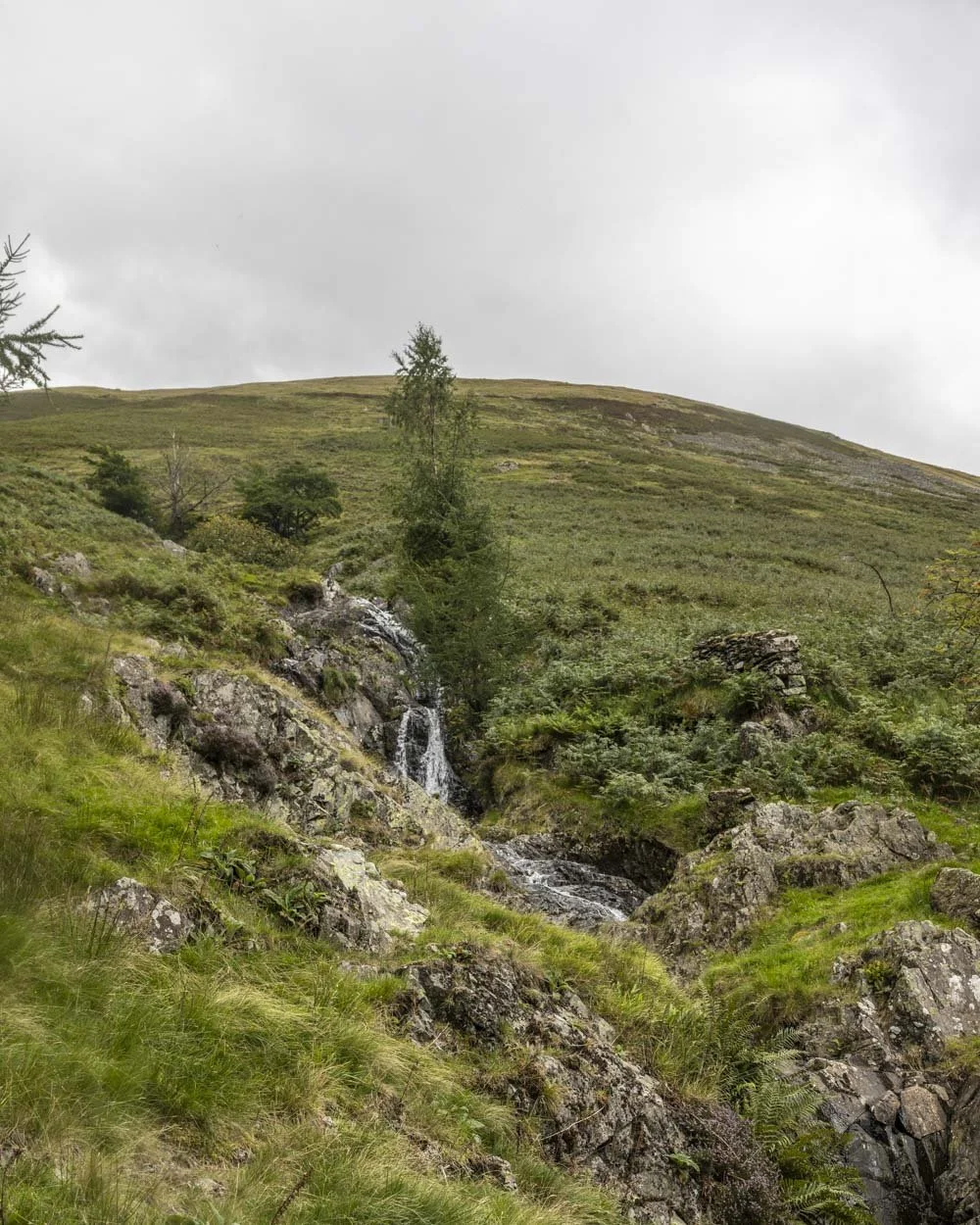 Birkside Gill: Thirlmere's alternative waterfall plunge pools — Walk My ...