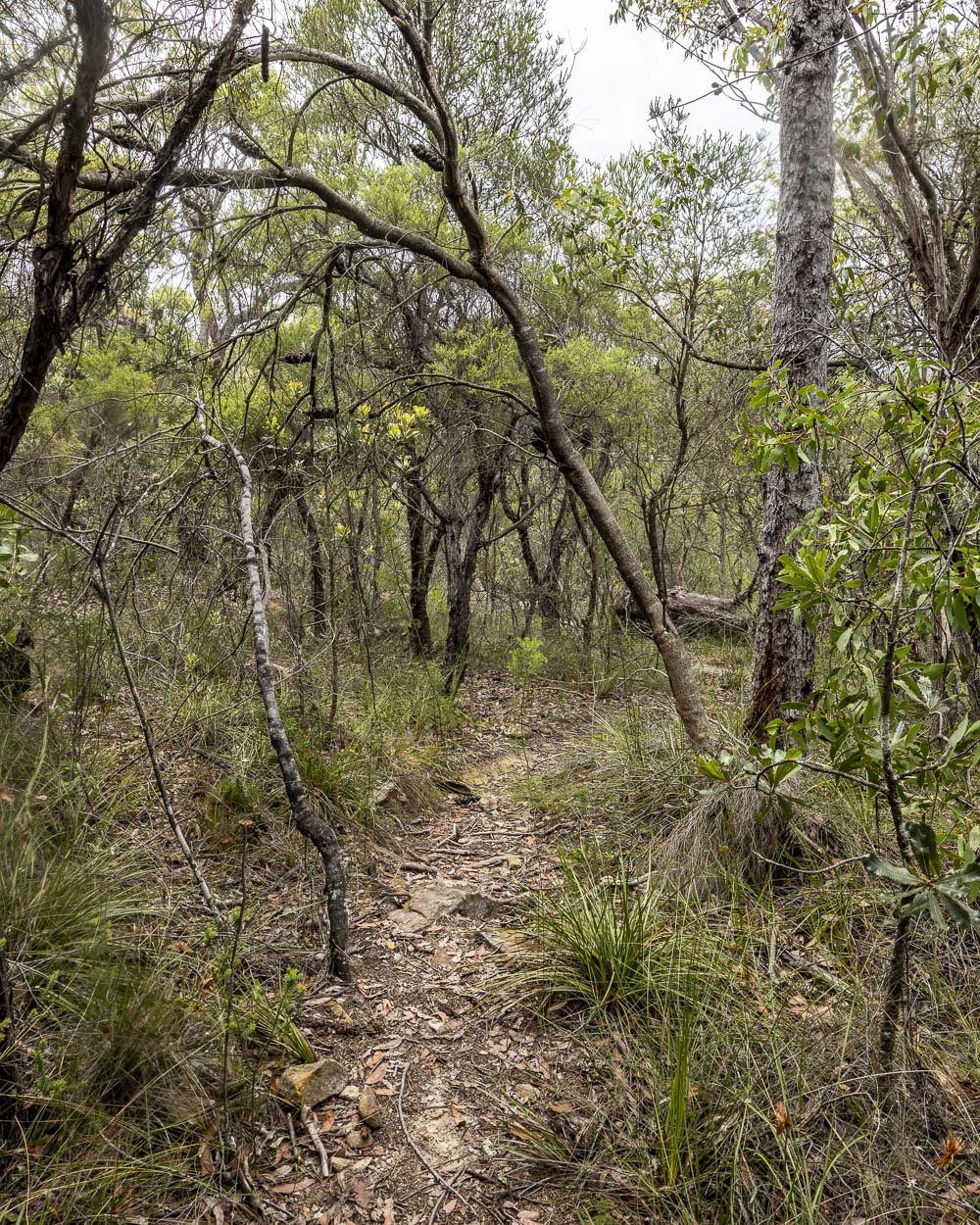Pindar Cave: is the the Central Coast's best wild camping spot? — Walk ...