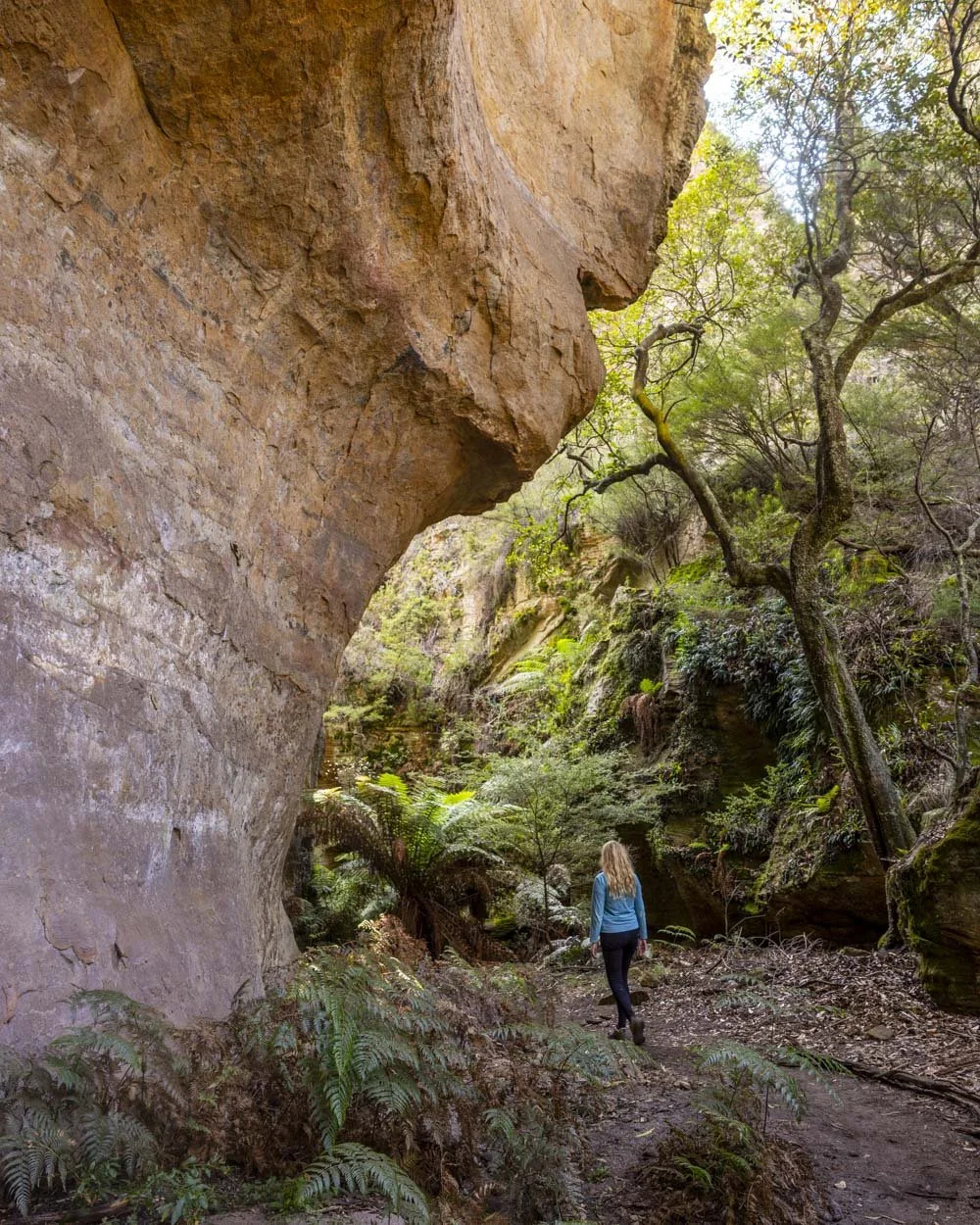 Dry Canyon - a stunning, easy slot canyon in the Blue Mountains — Walk ...