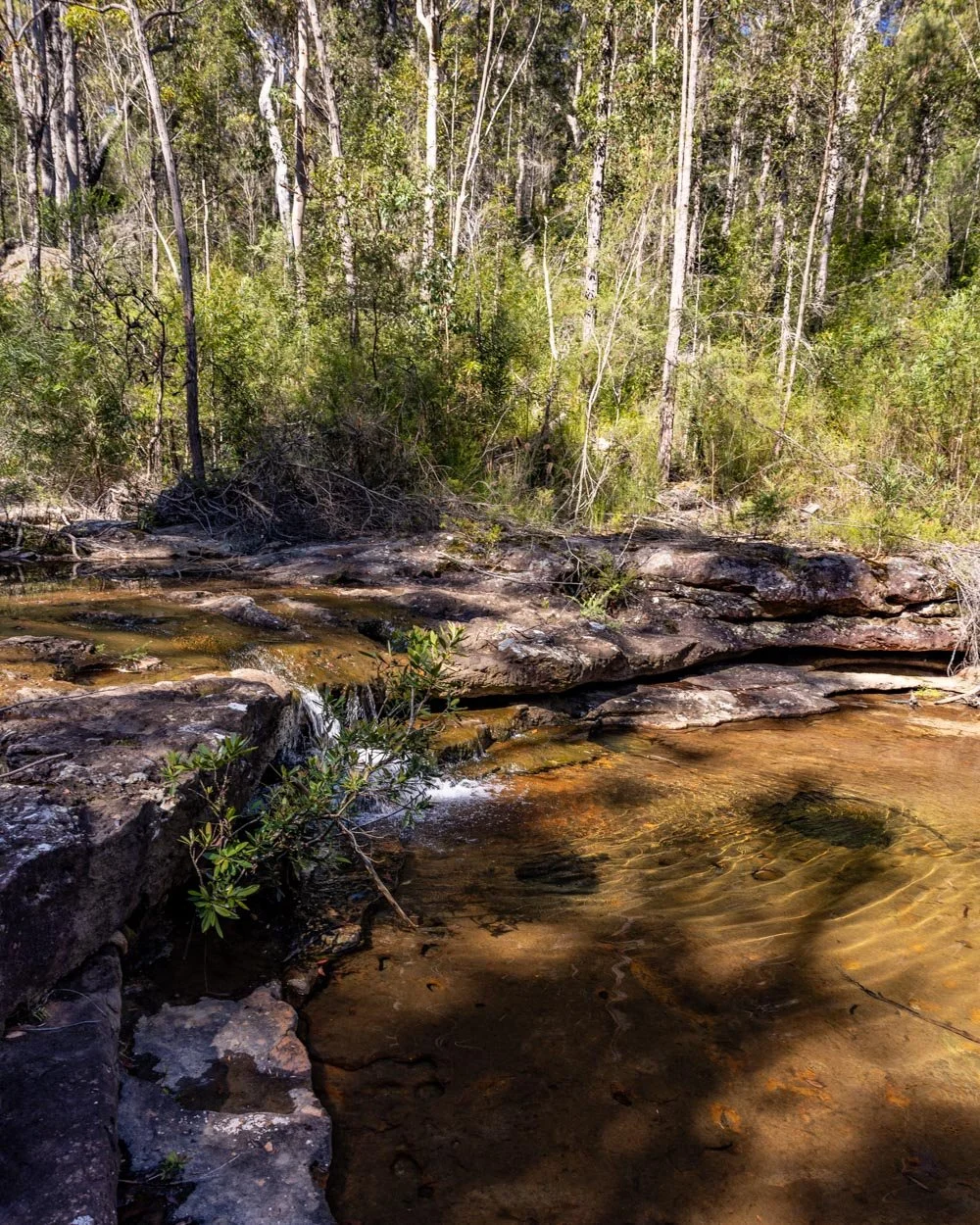 Hell Hole Falls: a spectacular waterfall swimming hole near Jervis Bay ...