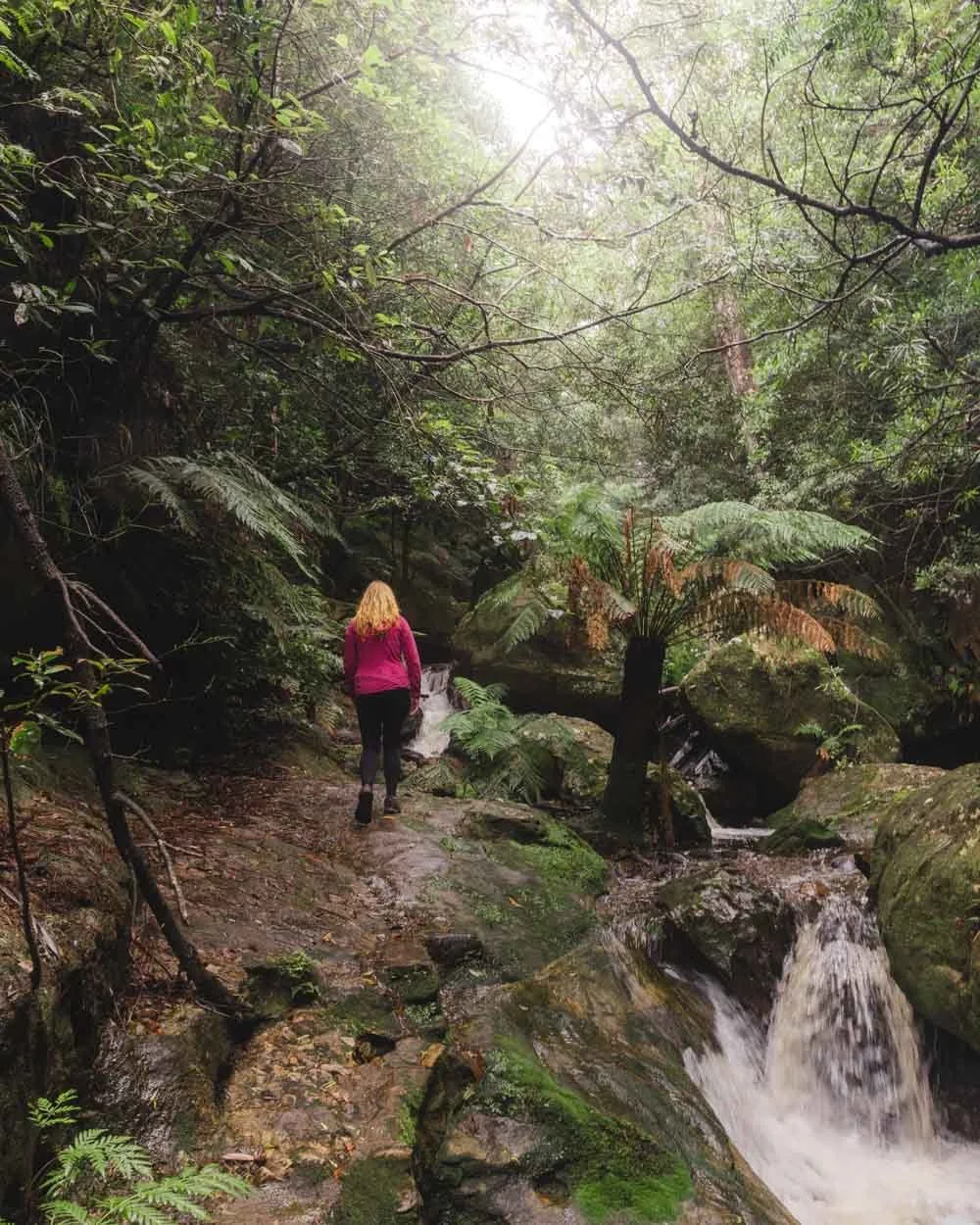 How to find the secret infinity pool in the Blue Mountains — Walk My World