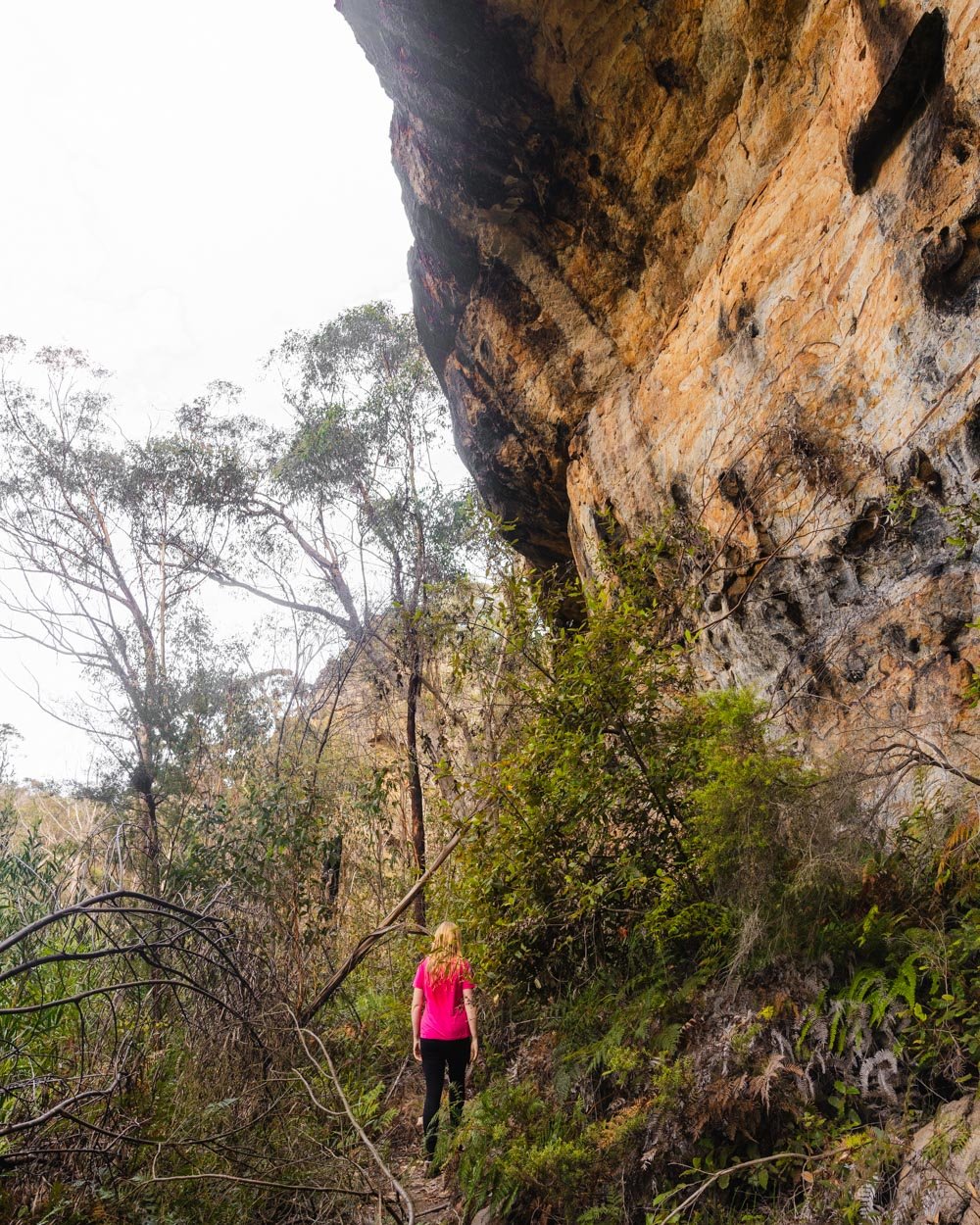 Pool of Diana: wild swimming in the Blue Mountains' hidden paradise ...