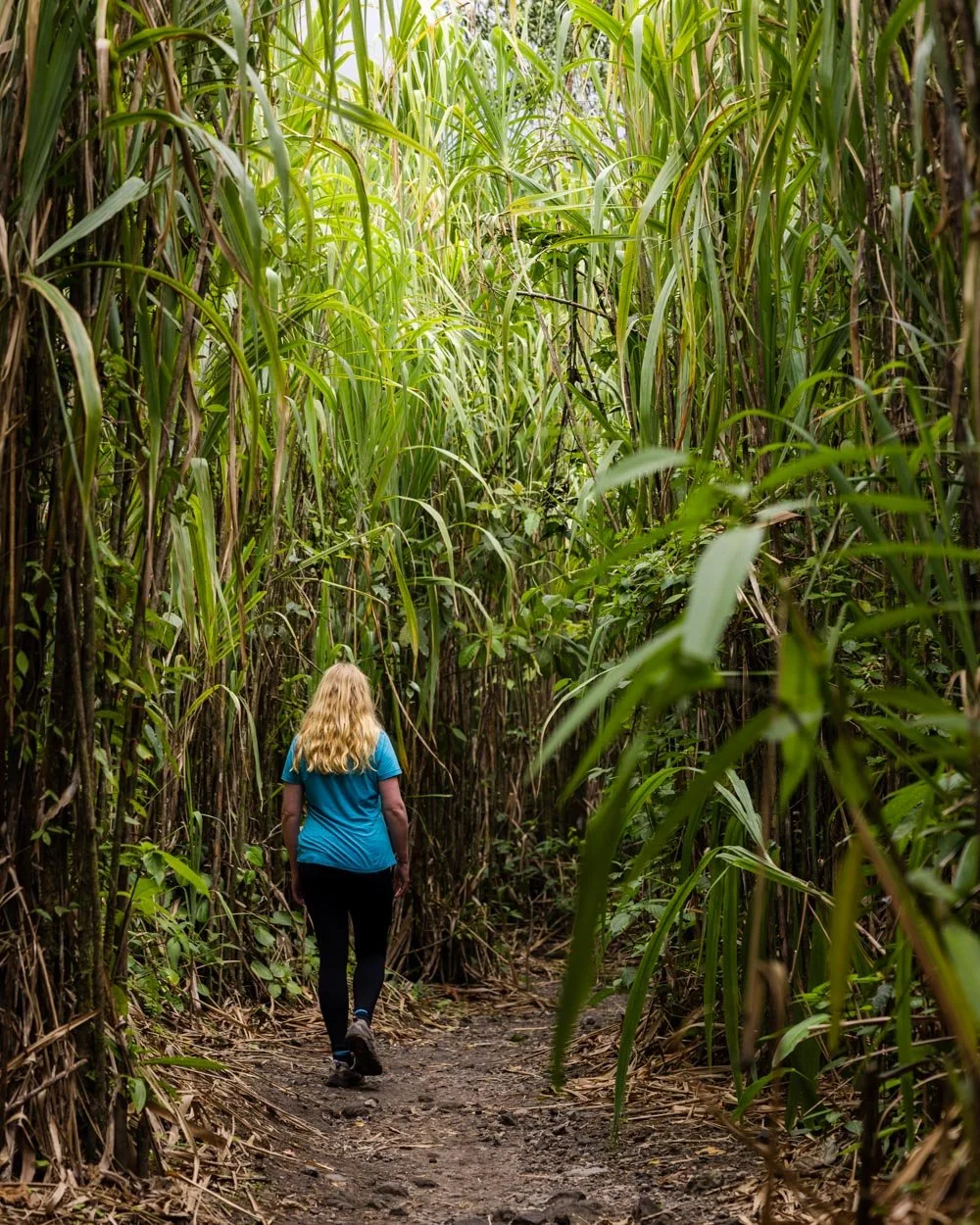 Arenal 1968: is it really worth the high entry fee? — Walk My World